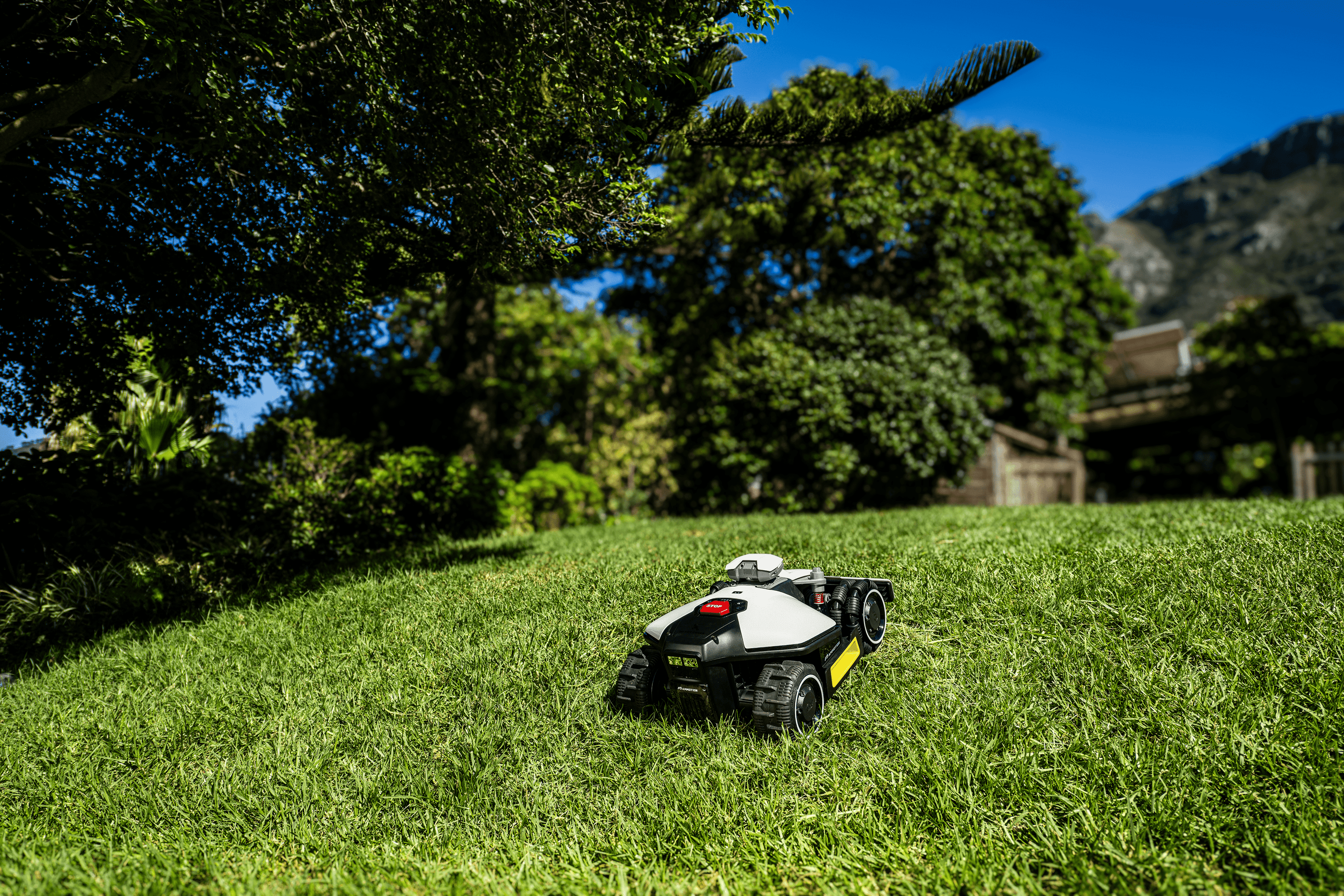 LUBA mini AWD Robot Lawn Mower | Mammotion CA